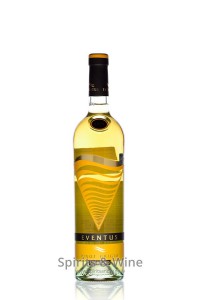 Giordano Eventus Pinot Grigio - Baltvīns