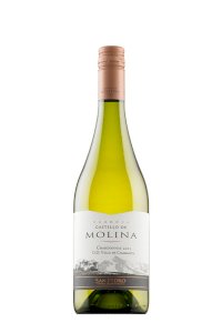 Castillo de Molina Chardonnay - Baltvīns
